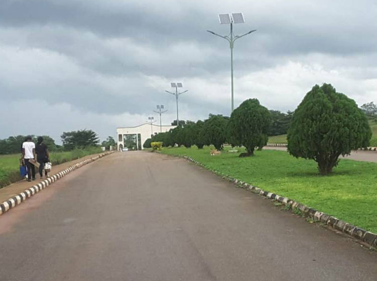 Solar Street Light For Schools in Nigeria - Entelechy energy